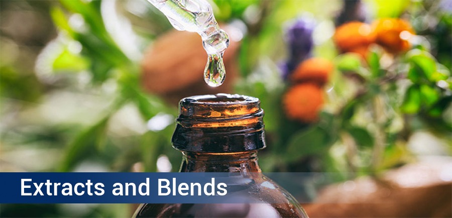 Aethon International in Noida